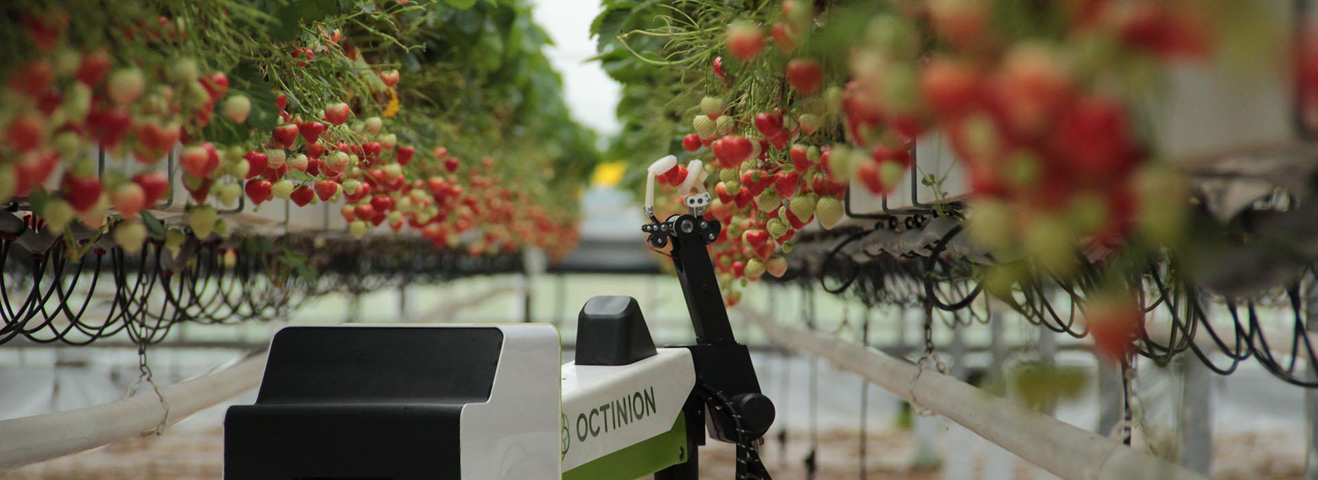 Octinion | Engineering the future